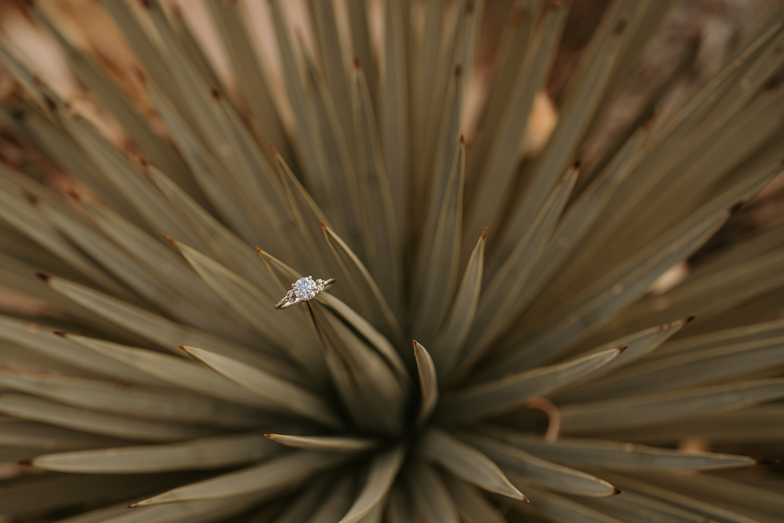 Boho Engagement Photos at Cap Rock in Joshua Tree ...