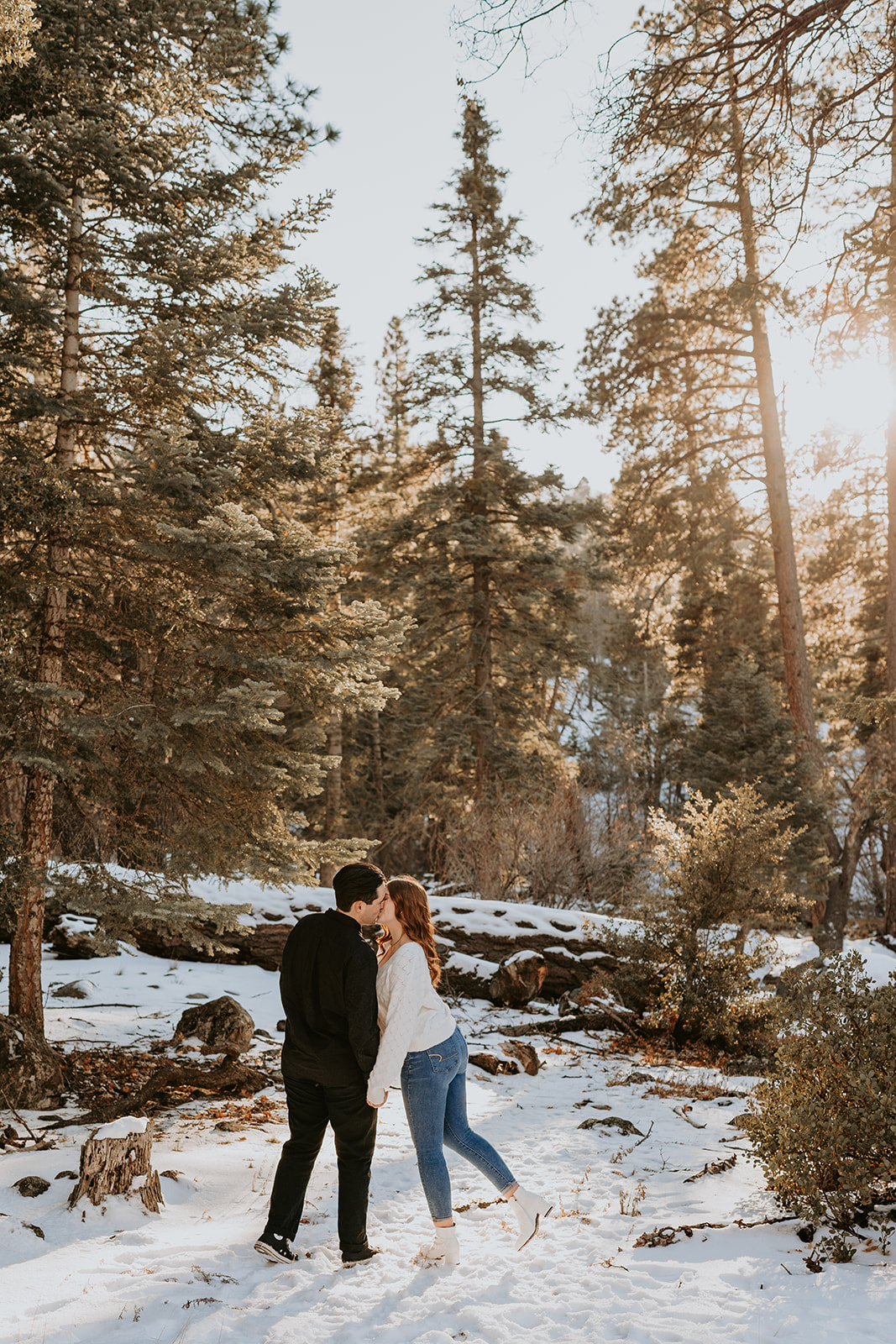 Snowy Mountain Engagement Photos in Angelus Oaks ...