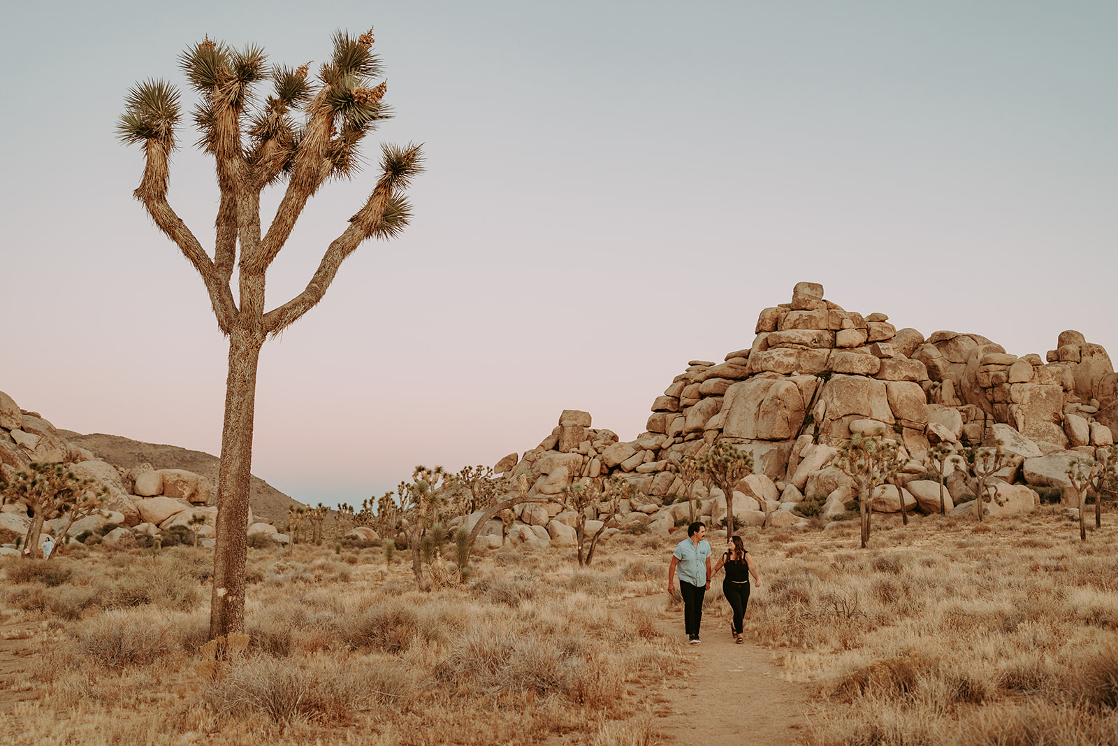 Capturing Love in the Desert: Unforgettable Joshua Tree Engagement ...